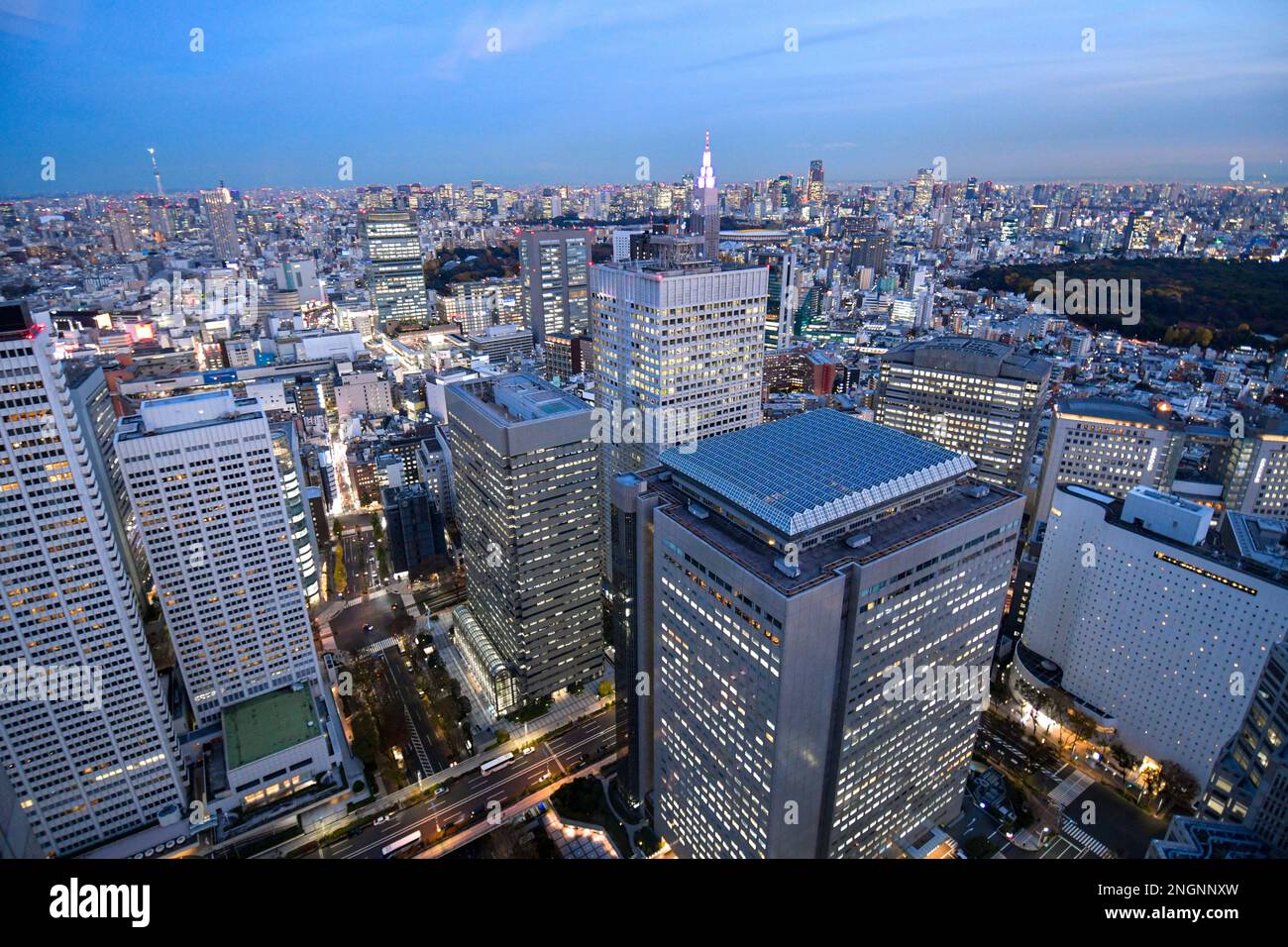 View of Tokyo, Japan from the Metropolitan Government Building Stock ...