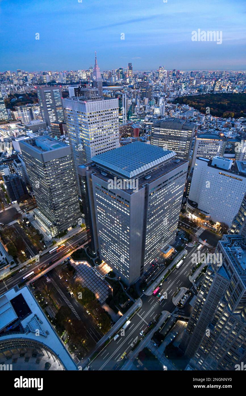 Night aerial view of tokyo from the tokyo metropolitan government hi ...