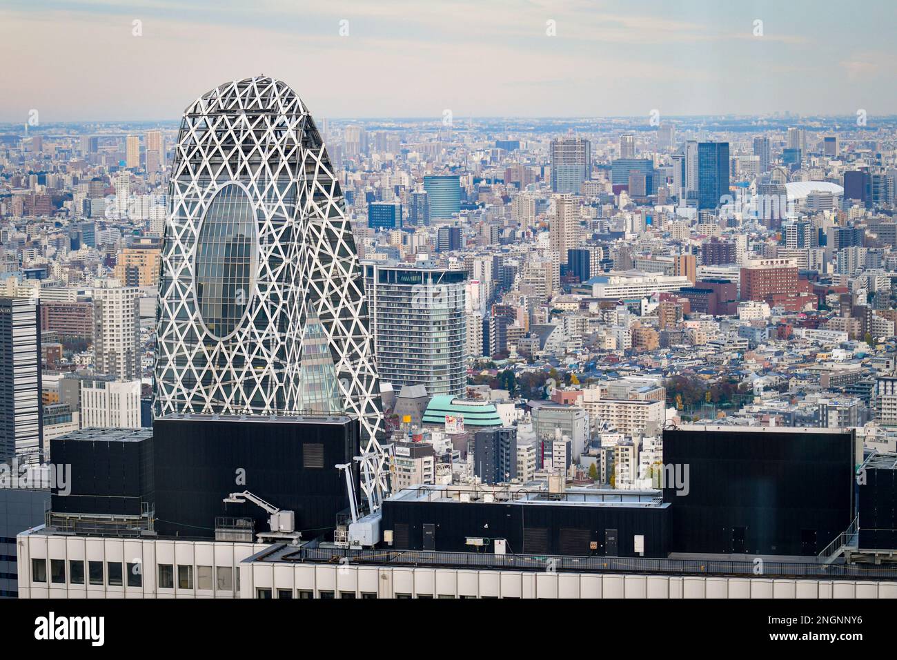 View of Tokyo, Japan from the Metropolitan Government Building Stock ...