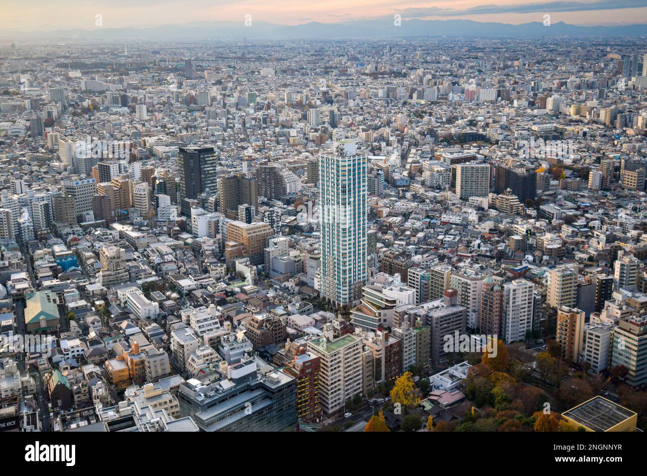 Tokyo japan skyline from asakusa hi-res stock photography and images ...