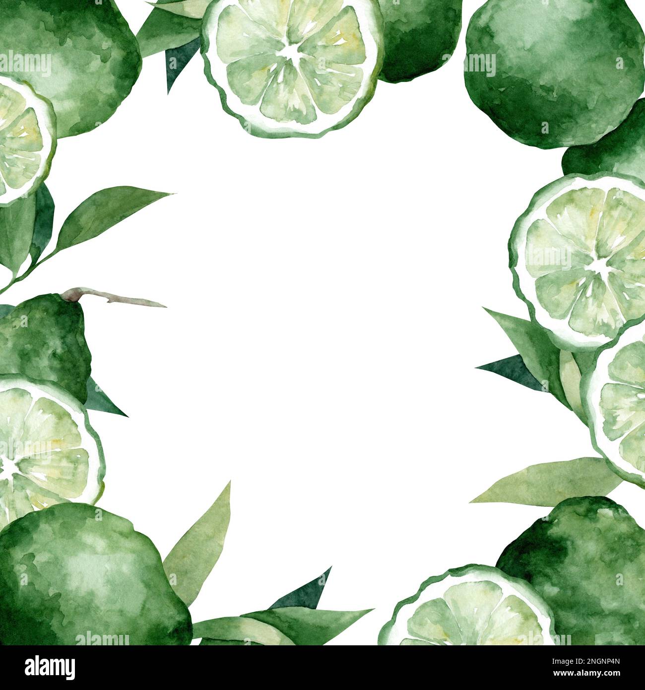 Square watercolor frame with bergamot. Watercolor design for invitation ...