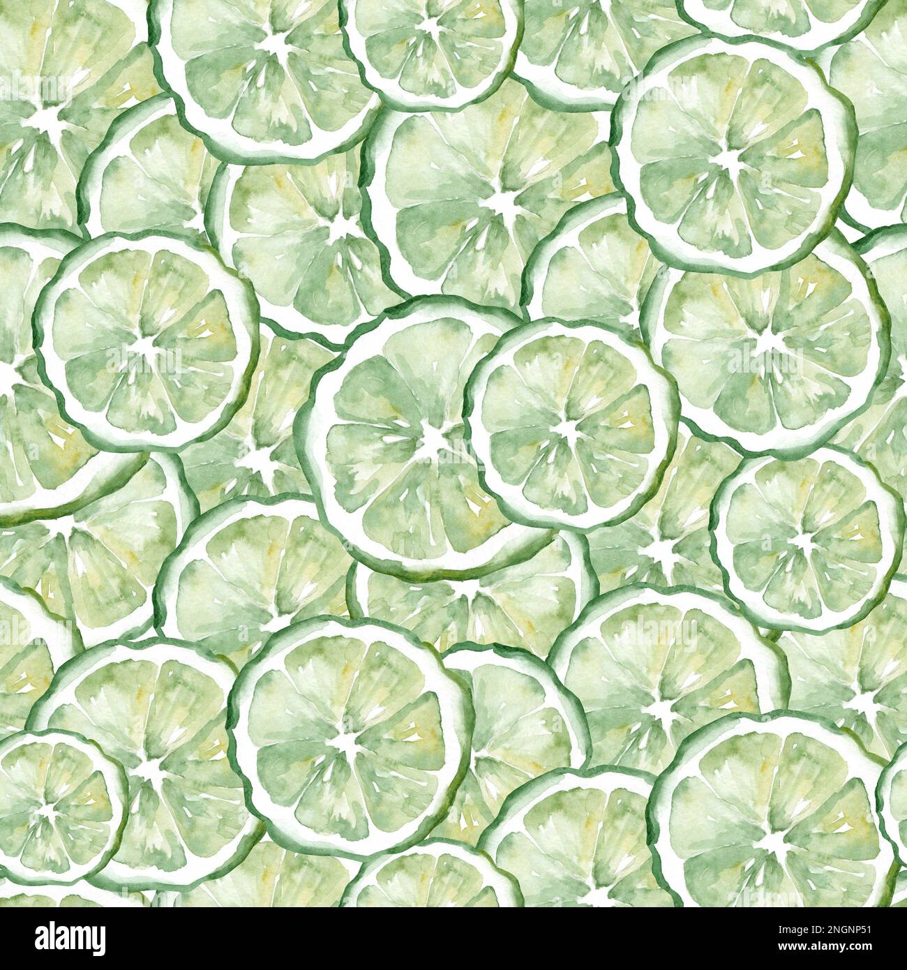 Watercolor seamless pattern of bergamot slices. Citrus fruit. Pattern for fabric and paper Stock ...