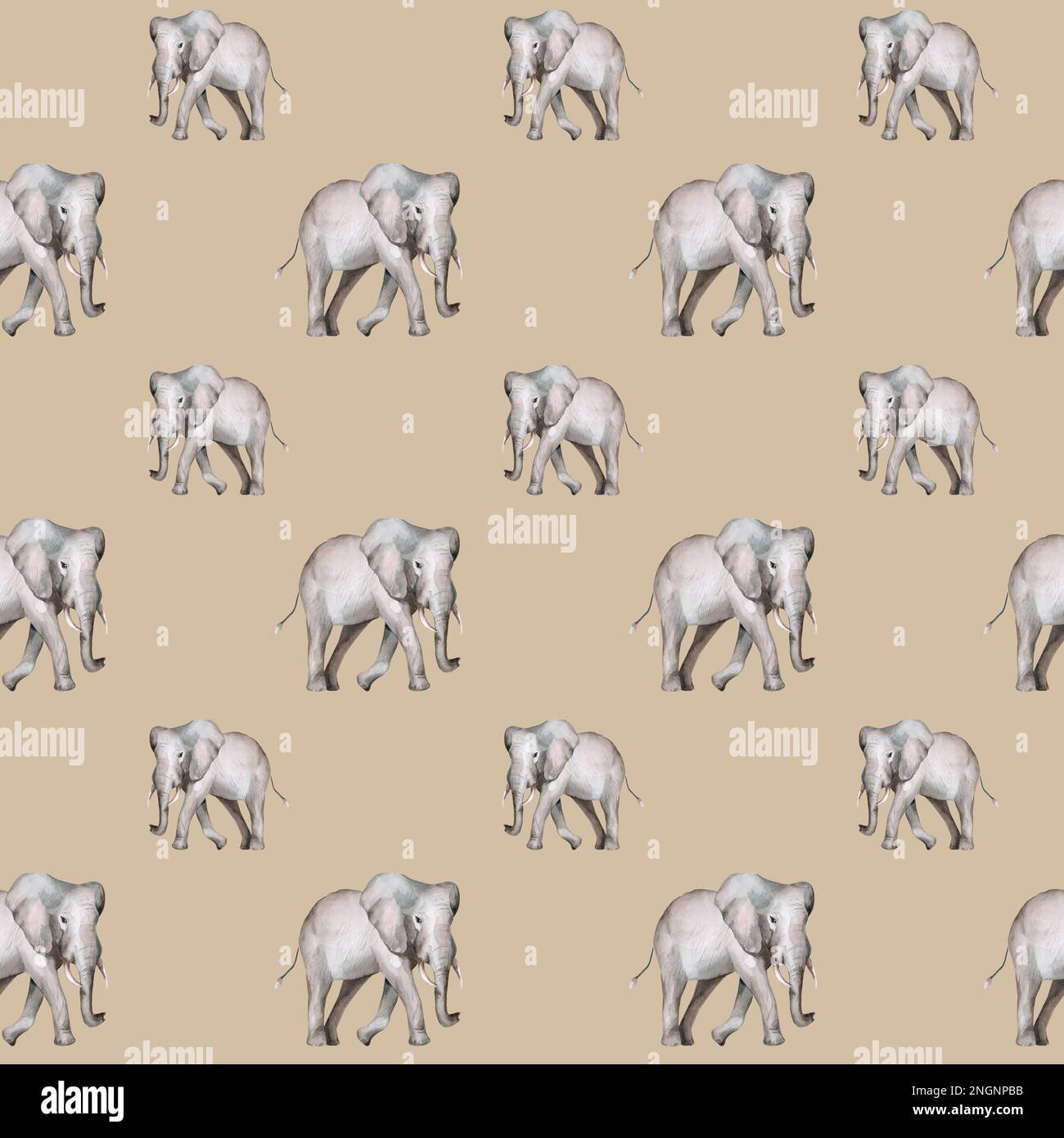 African elephant. Seamless watercolor pattern. Wild animals Stock Photo ...