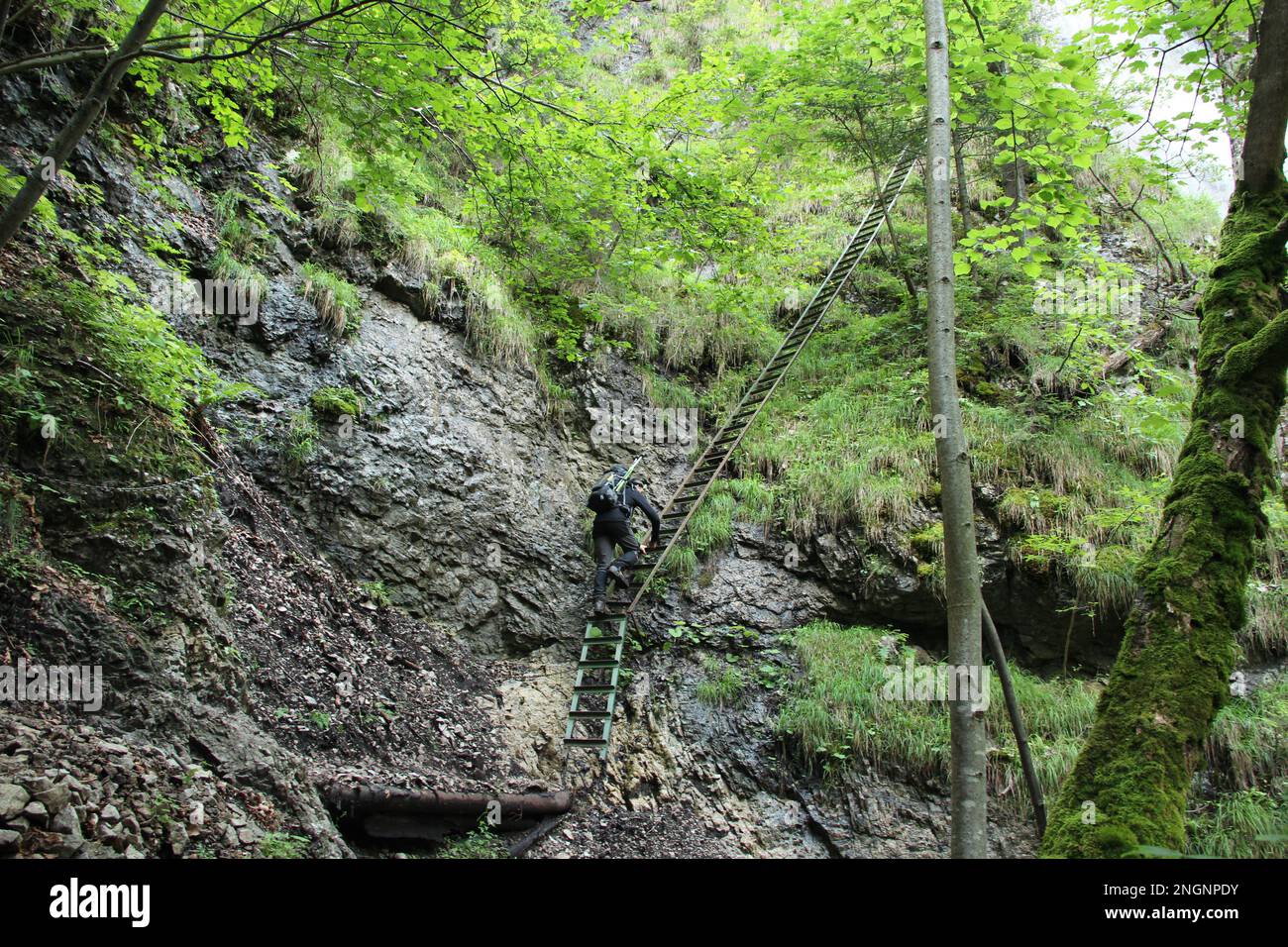 Zavojovy vodopad hi-res stock photography and images - Alamy