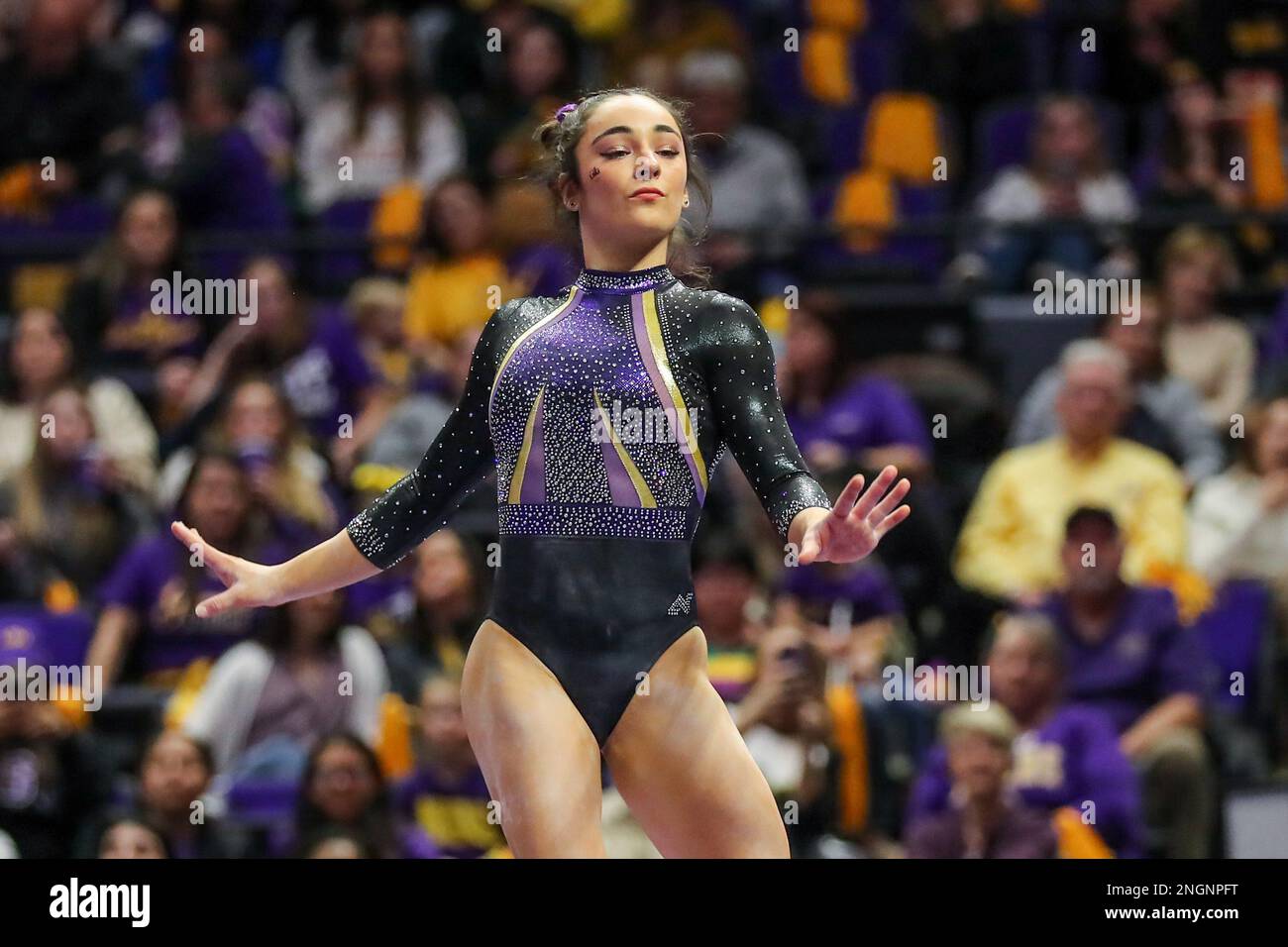 Gators gymnastics beam hi-res stock photography and images - Alamy
