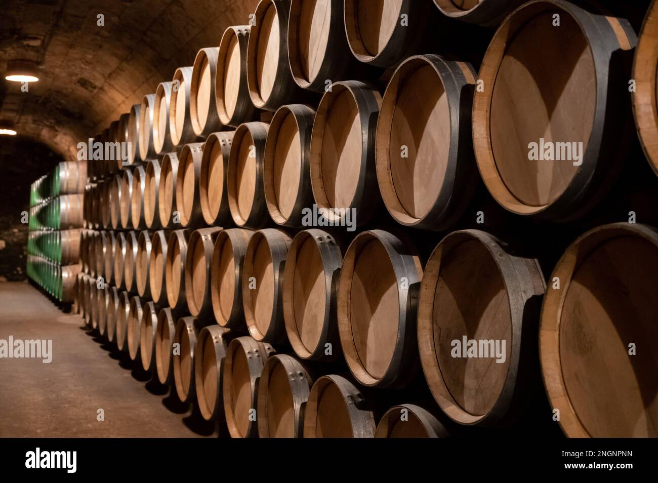 Old french oak wooden barrels in underground cellars for wine aging ...