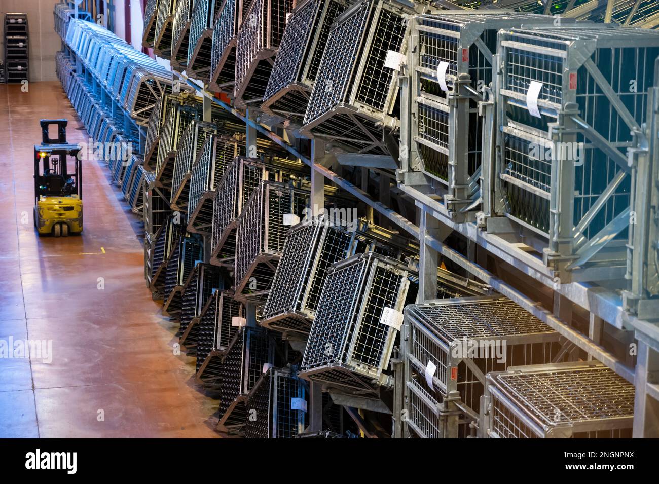 Production of cremant sparkling wine in Burgundy, France. Automatically ...