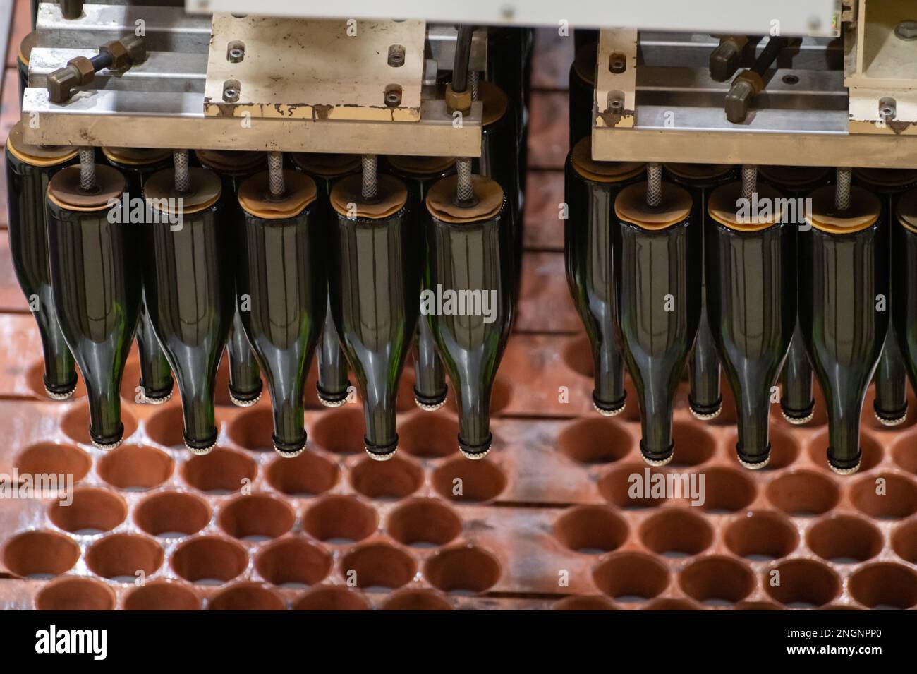 Production of cremant sparkling wine in Burgundy, France. Automatically ...