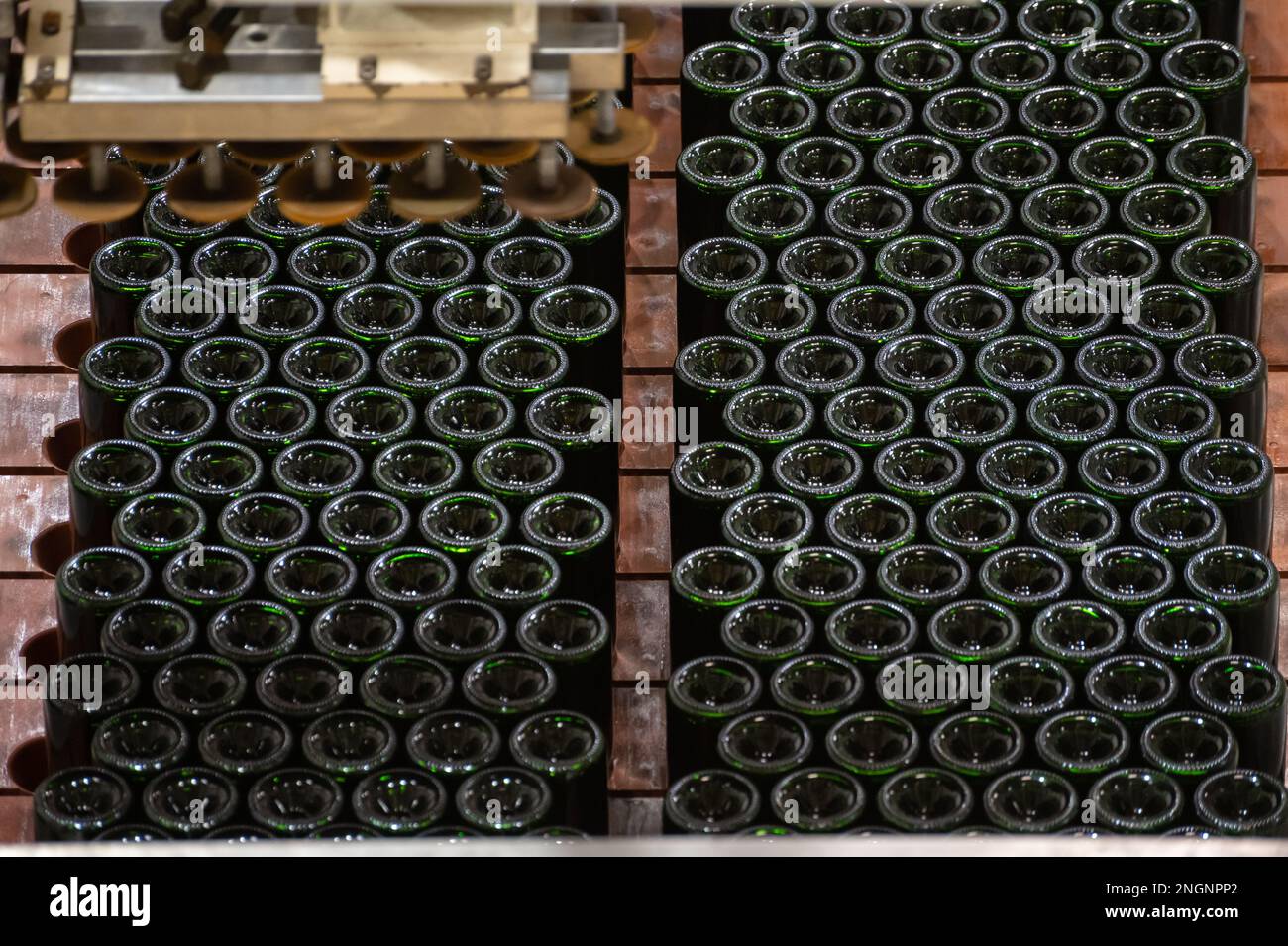Production of cremant sparkling wine in Burgundy, France. Automatically ...