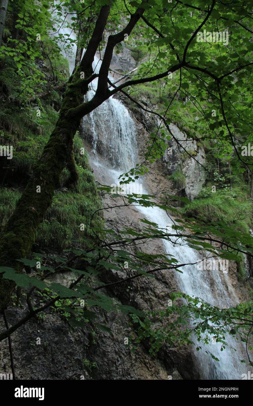 Zavojovy vodopad hi-res stock photography and images - Alamy