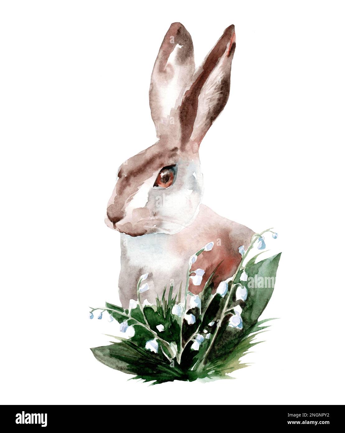 Watercolor illustration of a hare with spring forest lilies of the ...