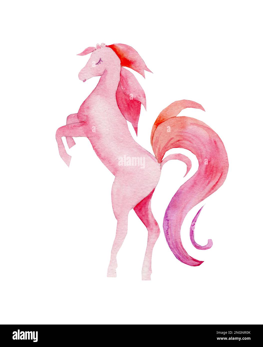 Watercolor illustration of a pink horse on a white background. Hand ...