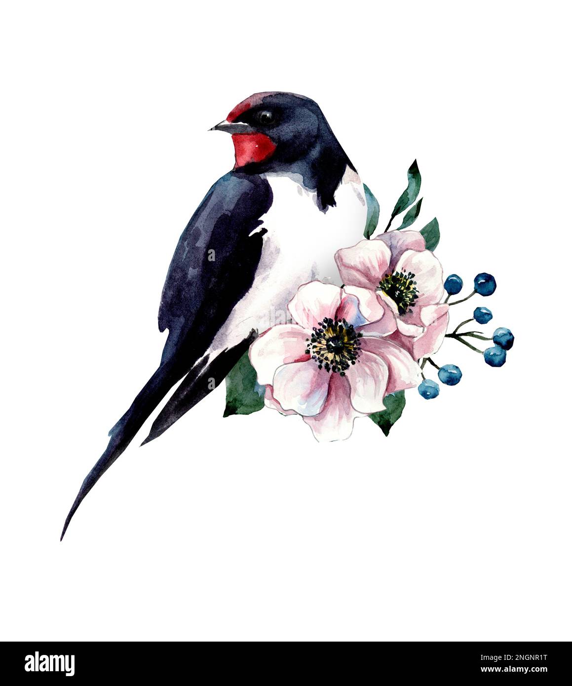 Watercolor illustration of a swallow and peonies on a white background ...