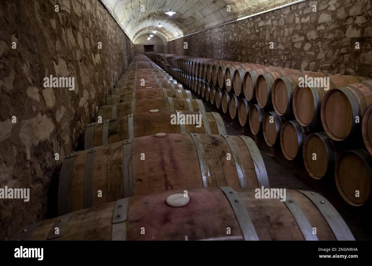 Old french oak wooden barrels in underground cellars for wine aging ...