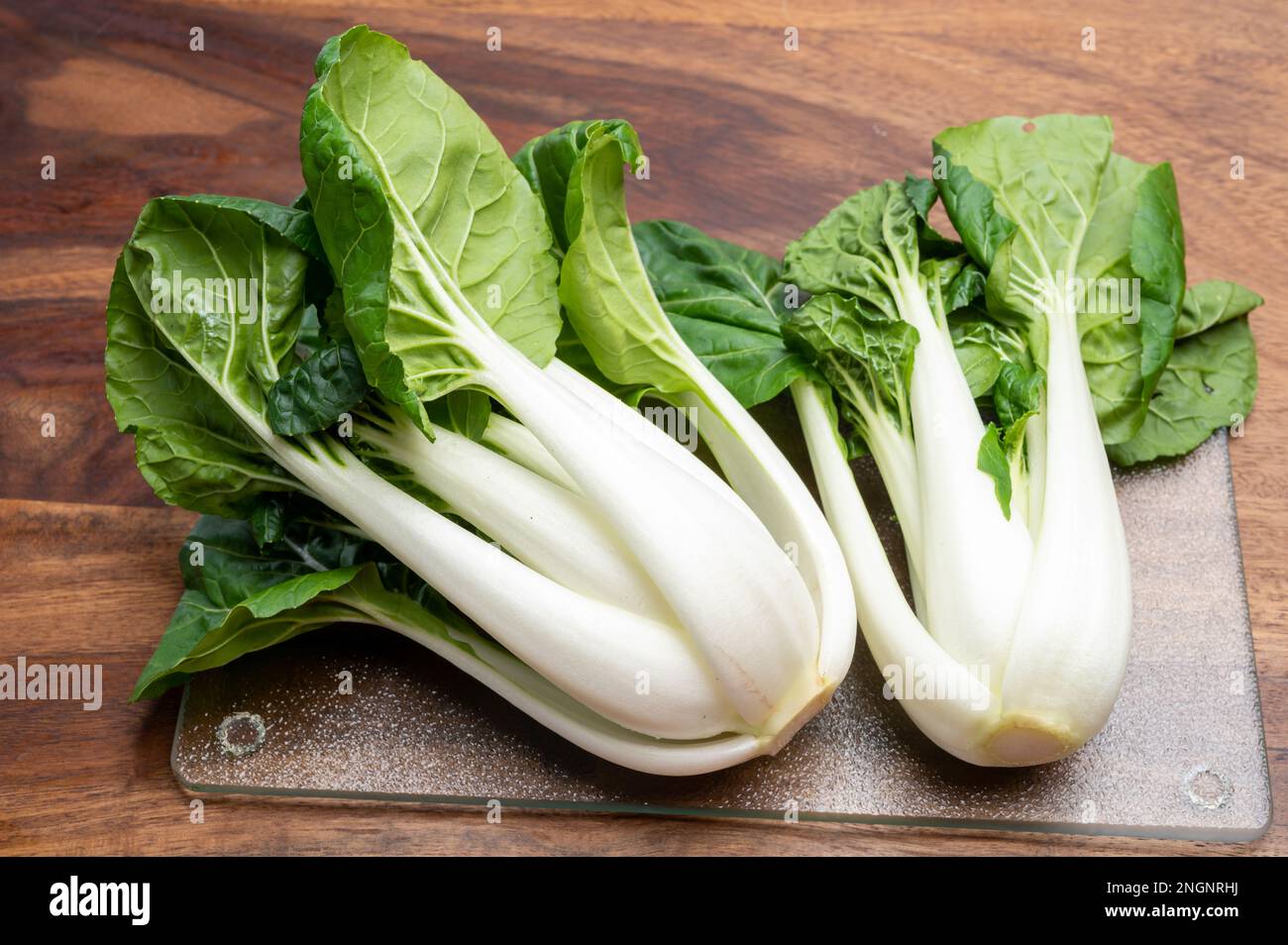 Young fresh organic white bok choy or bak choi Chinese cabbage ready to ...