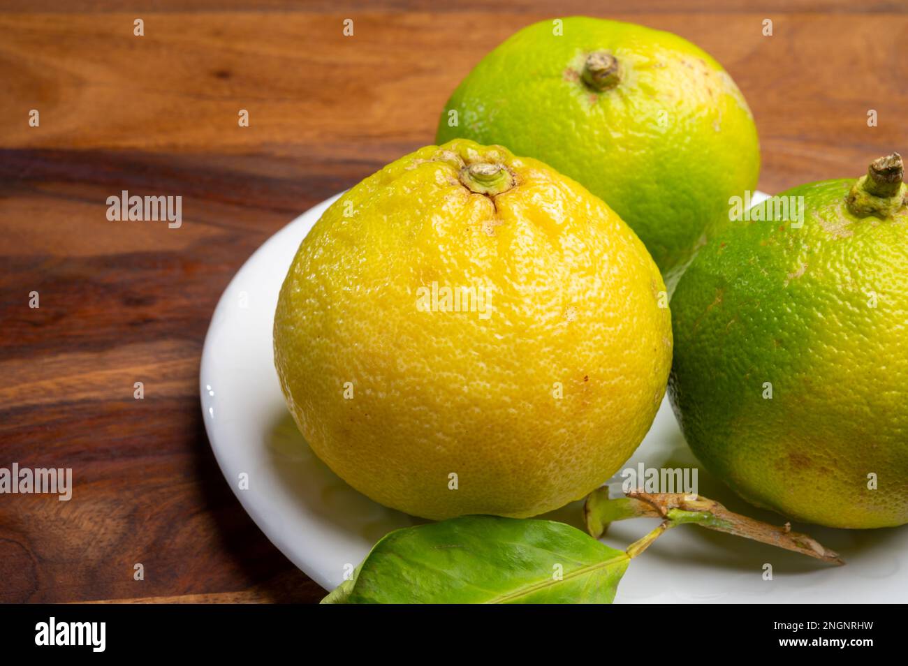Fresh ripe bergamot orange fruits, fragrant citrus used in earl grey ...
