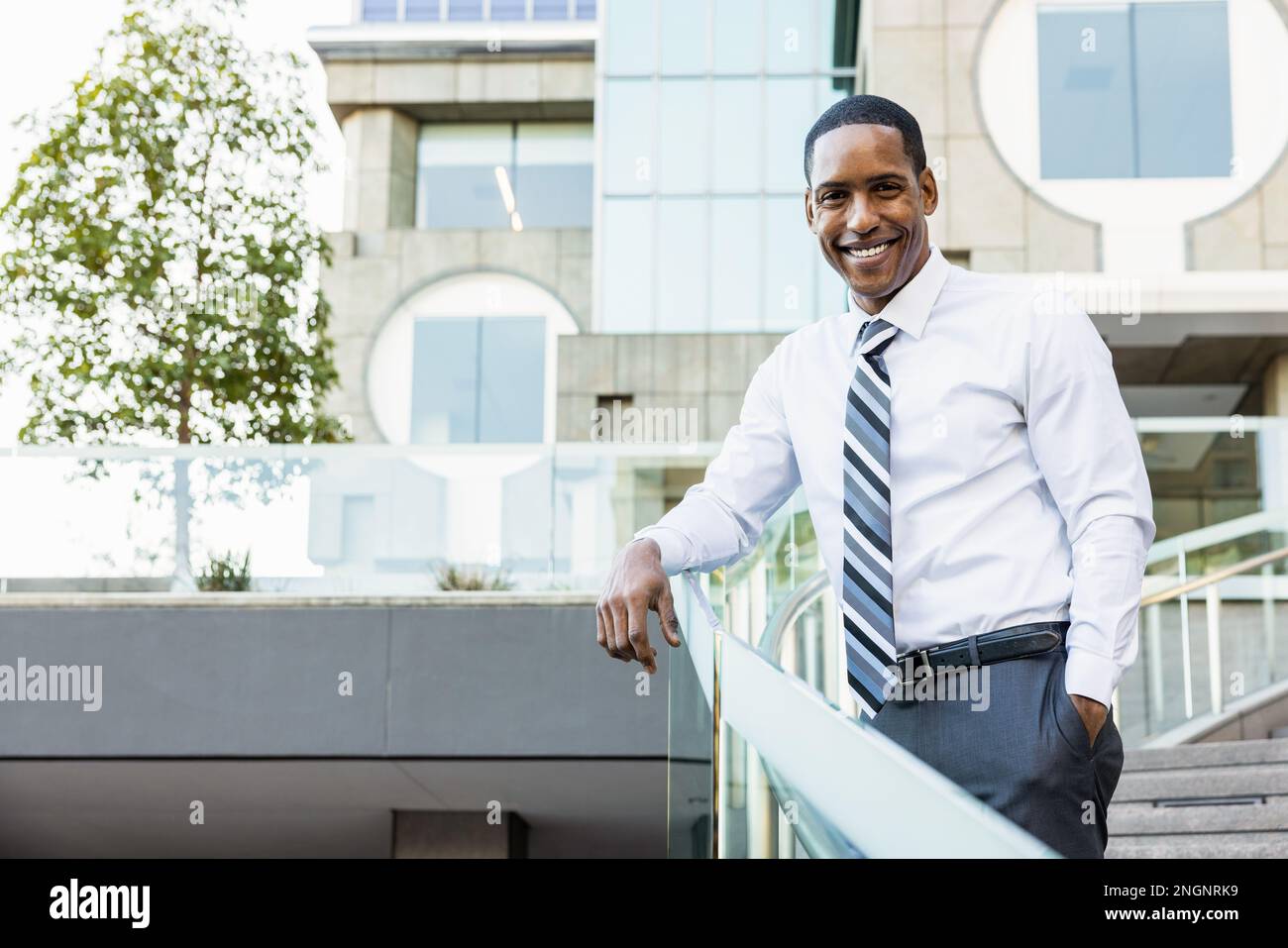 Handsome male african american business man CEO in a stylish corporate ...