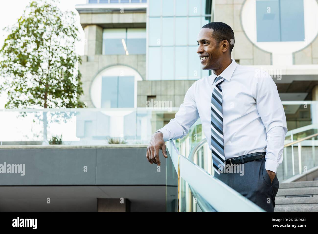 Handsome male african american business man CEO in a stylish corporate ...