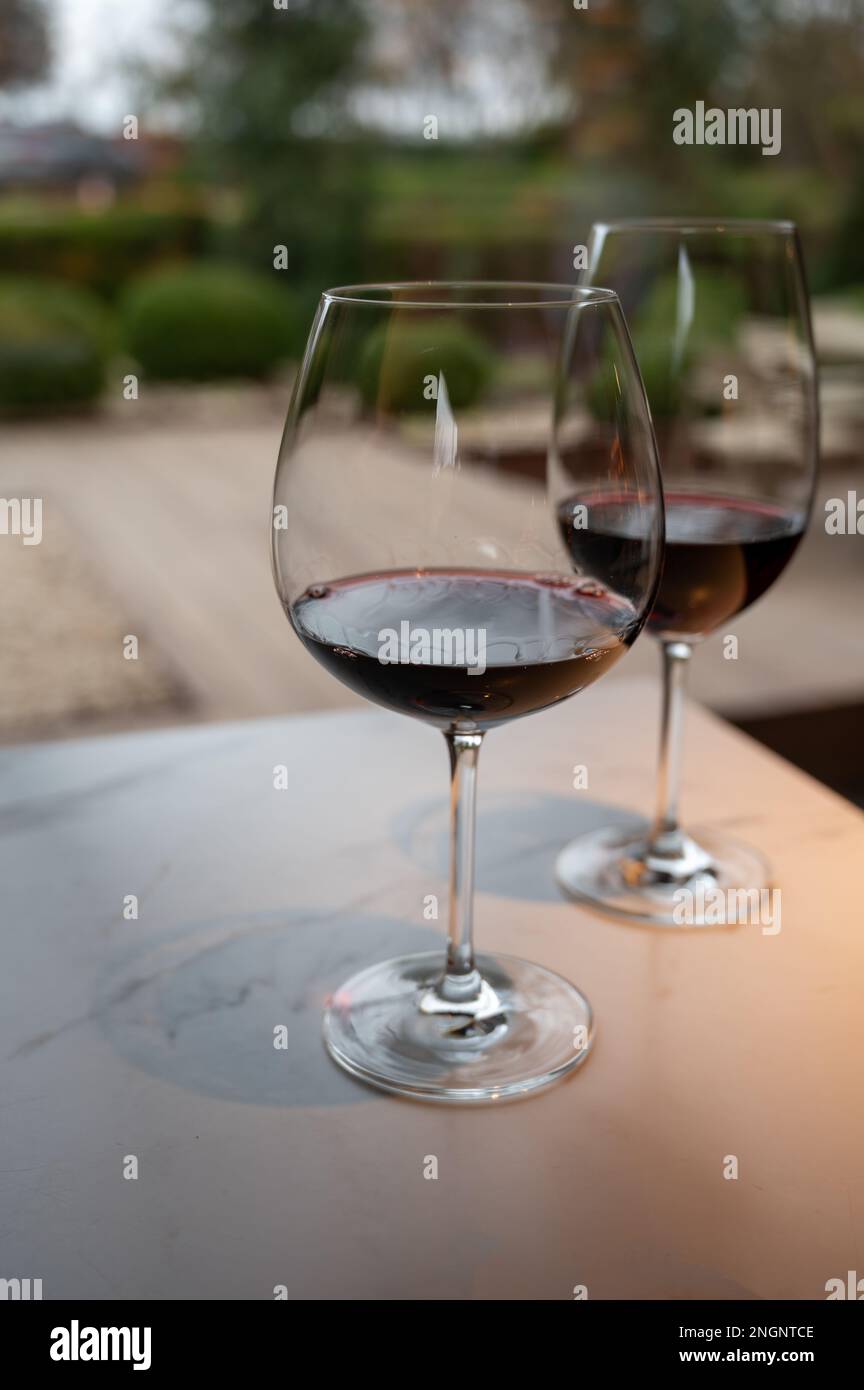 Tasting of red reserva rioja wines, visit of winery cellar in Haro ...