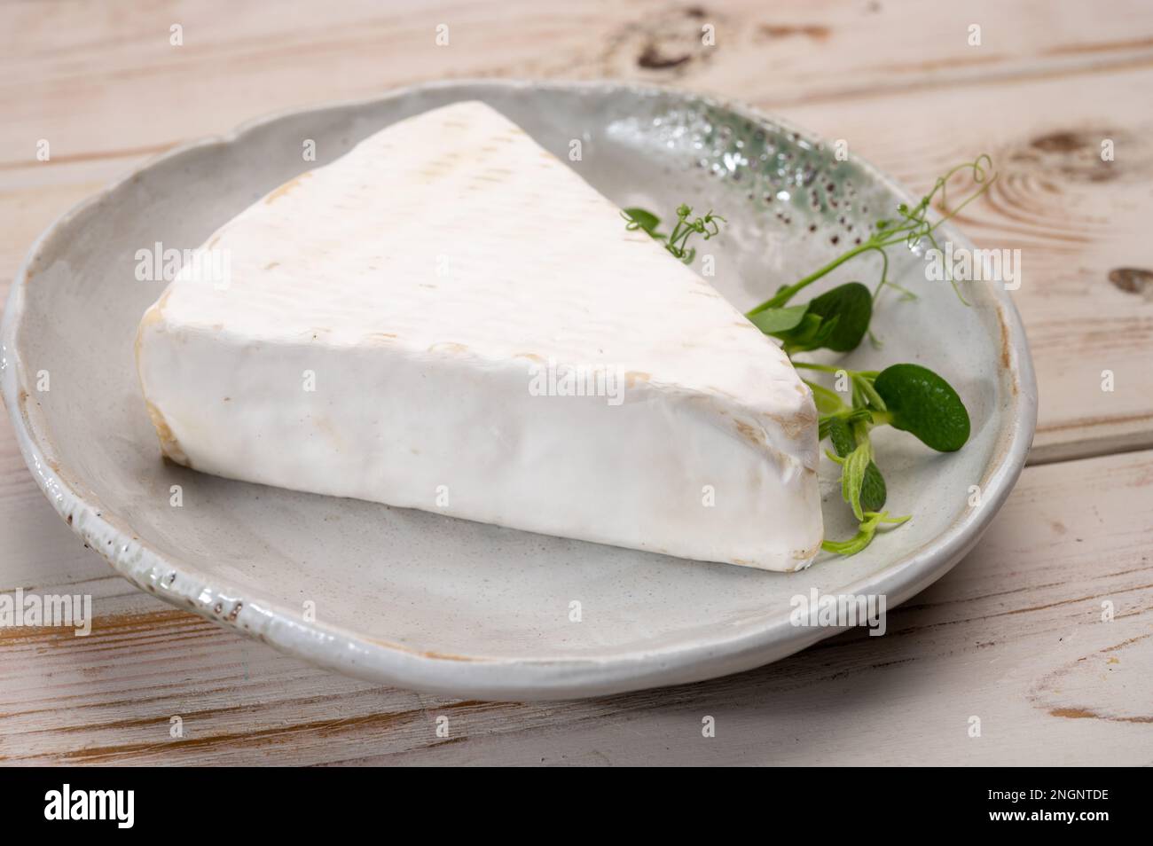 Cheese collection, French brie de Meaux cheese from Seine-et-Marne ...