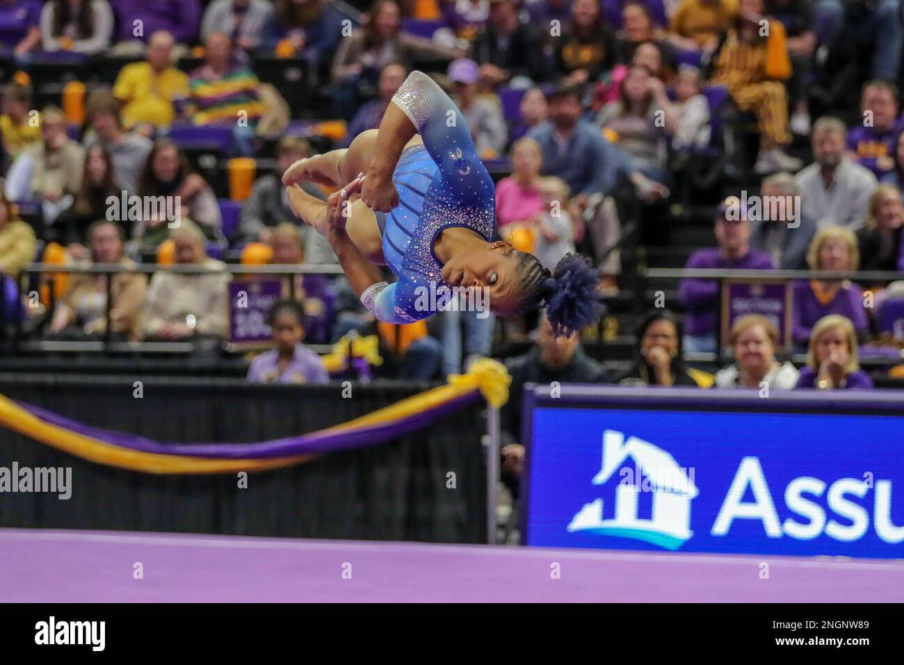 Gymnastics florida gators trinity thomas hi-res stock photography and ...