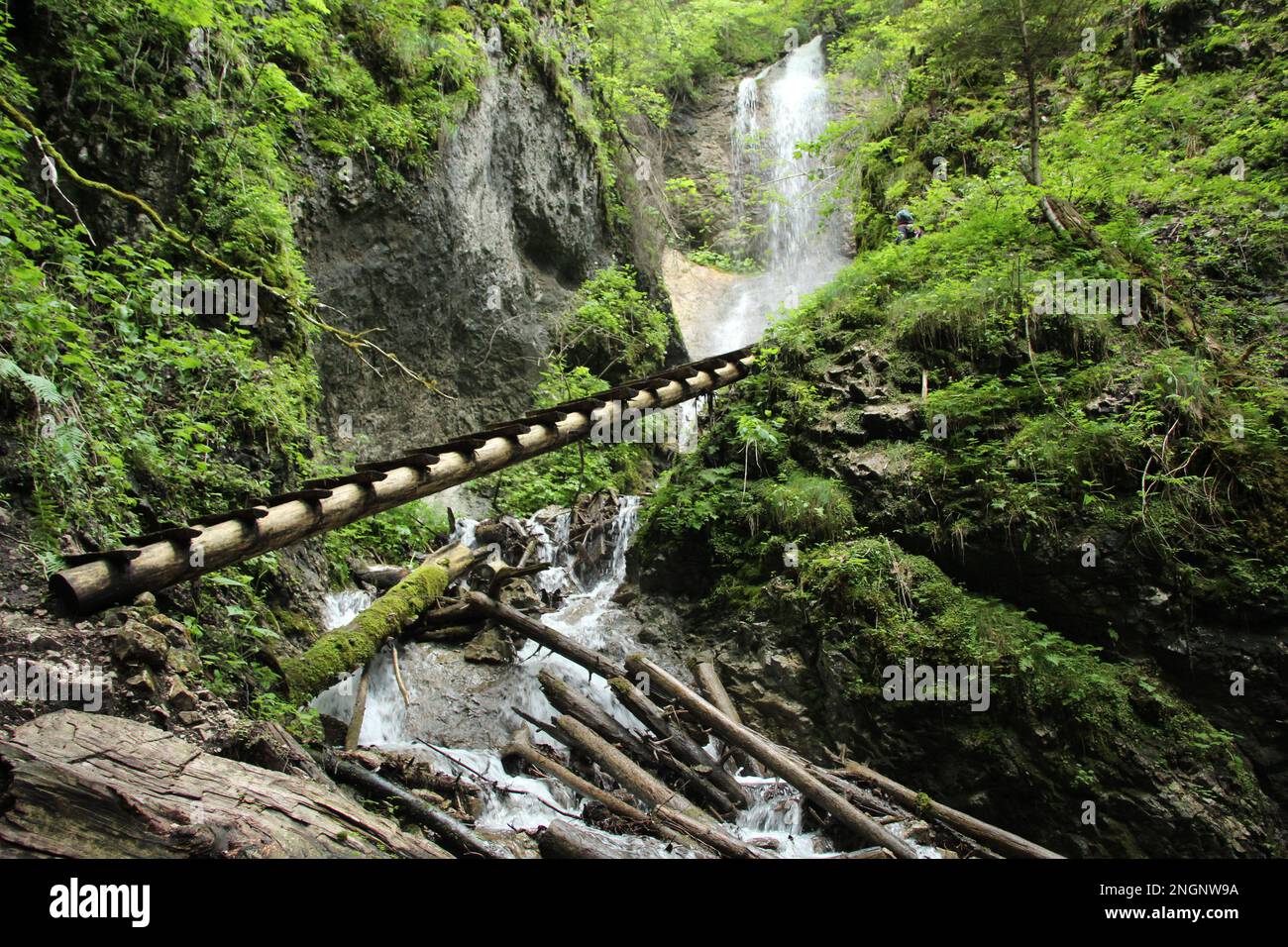Dangerous trail through a waterfall with wooden ladders in the Slovak ...