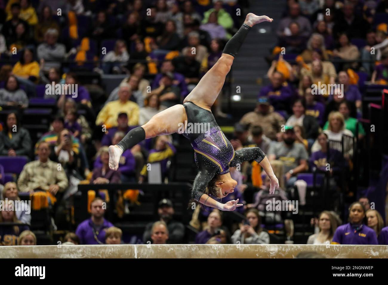 Baton Rouge, LA, USA. 17th Feb, 2023. LSU's KJ Johnson competes on the ...