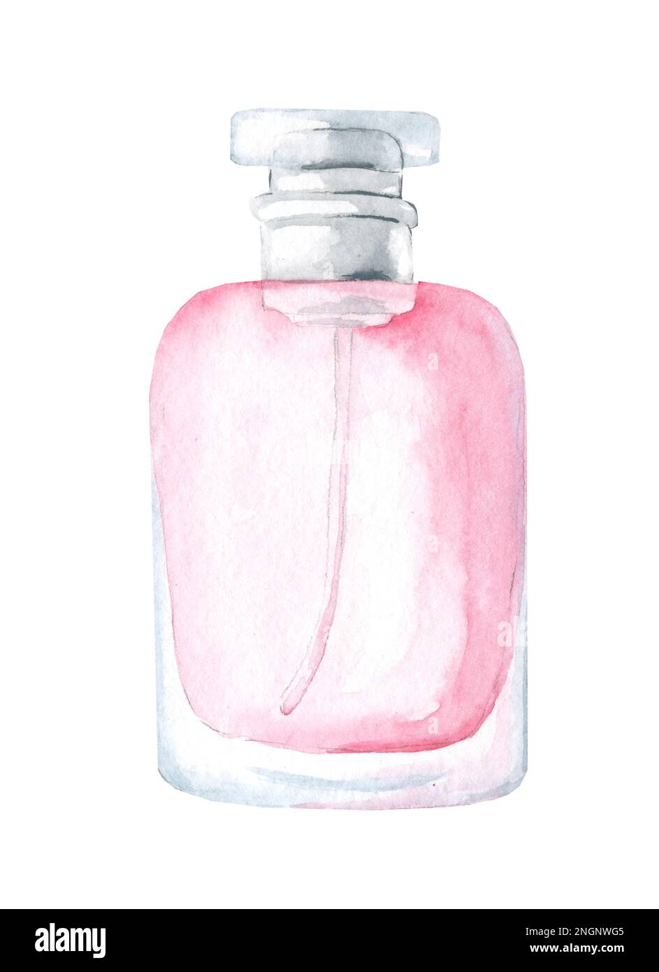 Glass pink perfume bottle. Watercolor hand drawn illustration Stock ...