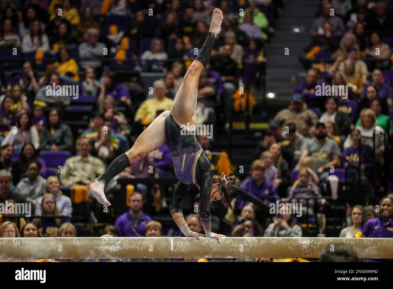 Baton Rouge, LA, USA. 17th Feb, 2023. LSU's KJ Johnson competes on the ...