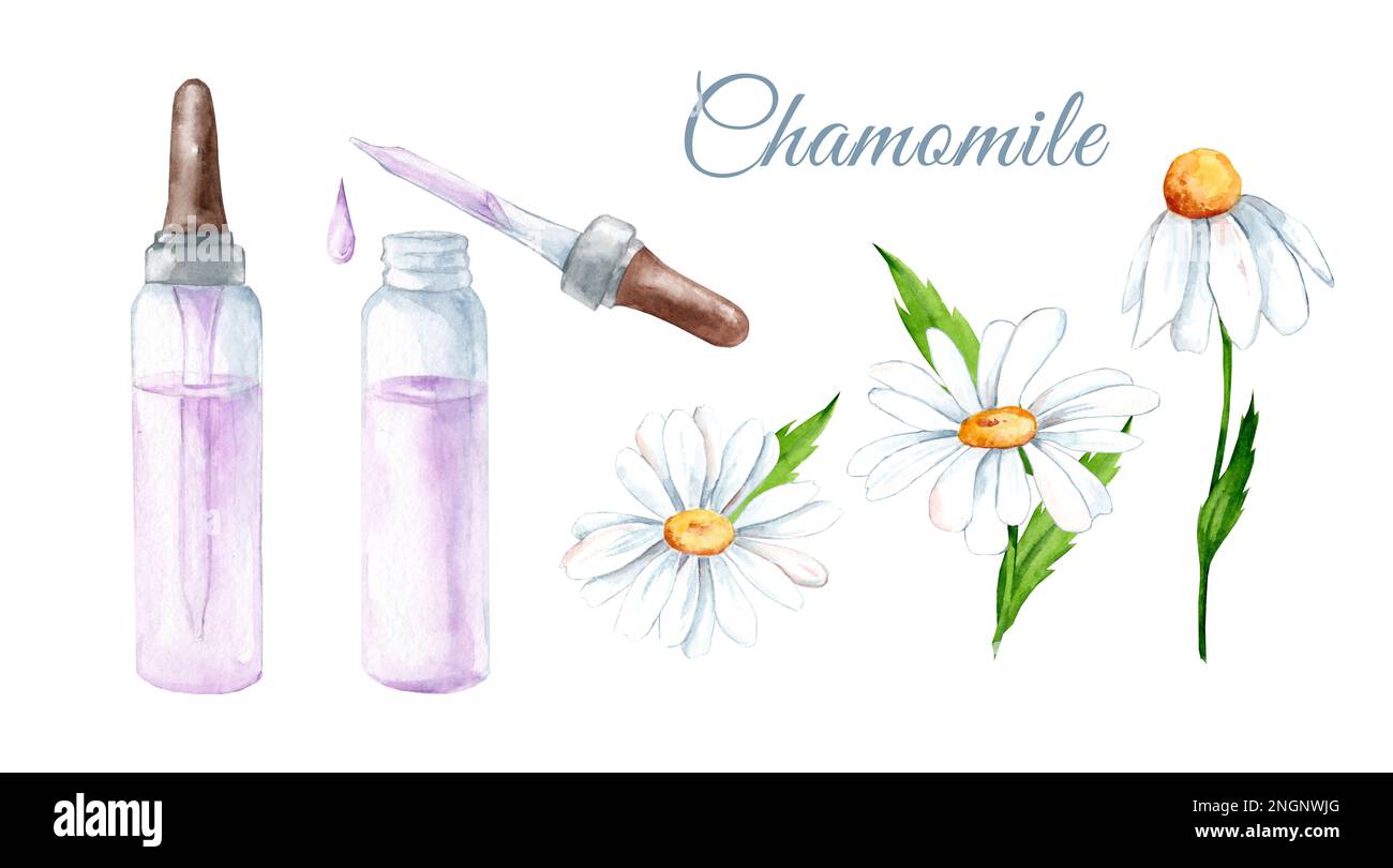 Serum with chamomile flower extract. Set of watercolor hand-drawn ...