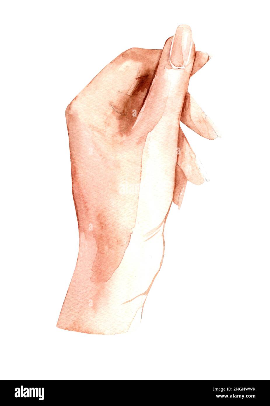 Woman's hand. Hand drawn watercolor painting isolated on white ...