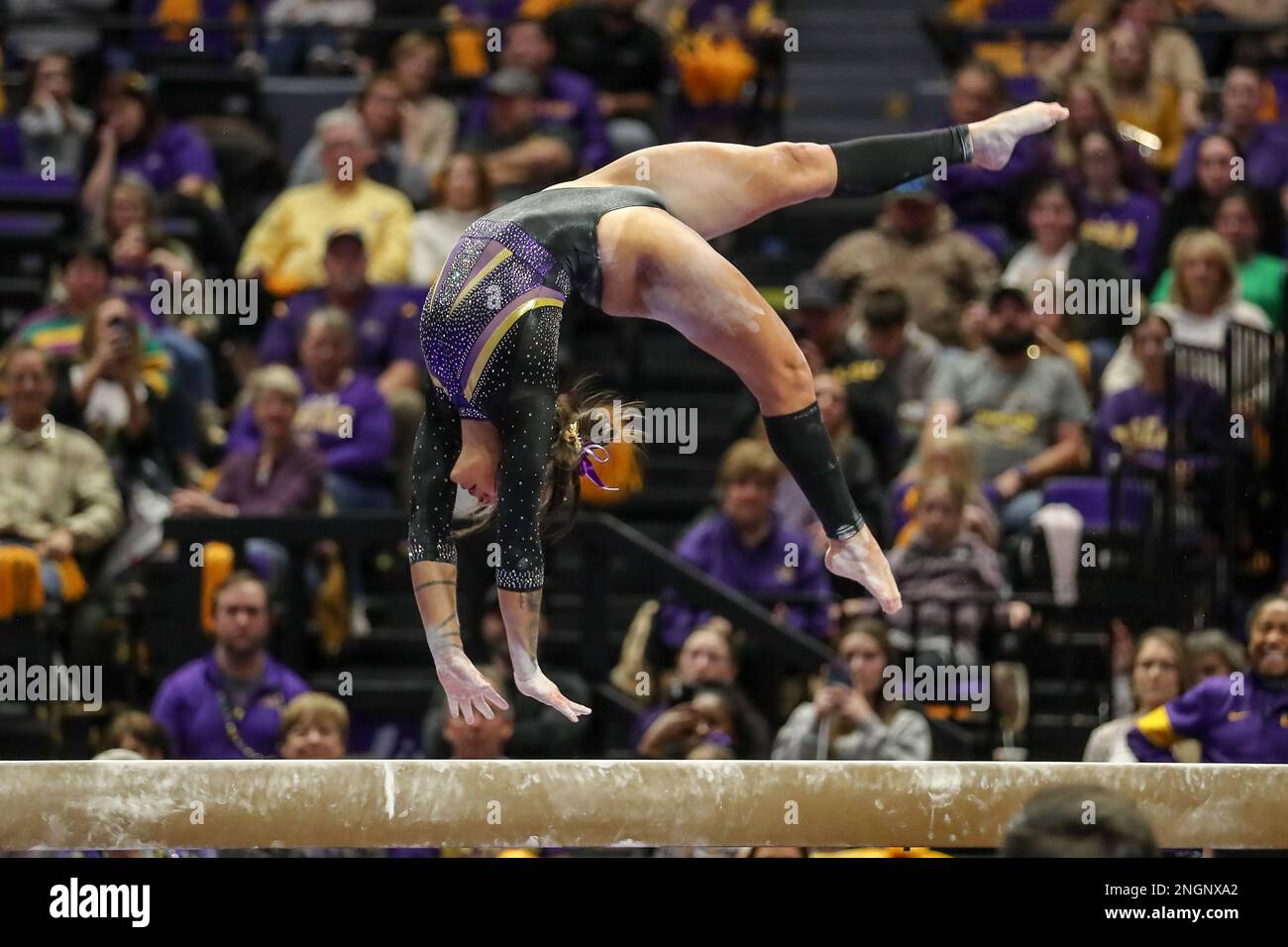 Baton Rouge, LA, USA. 17th Feb, 2023. LSU's KJ Johnson competes on the ...