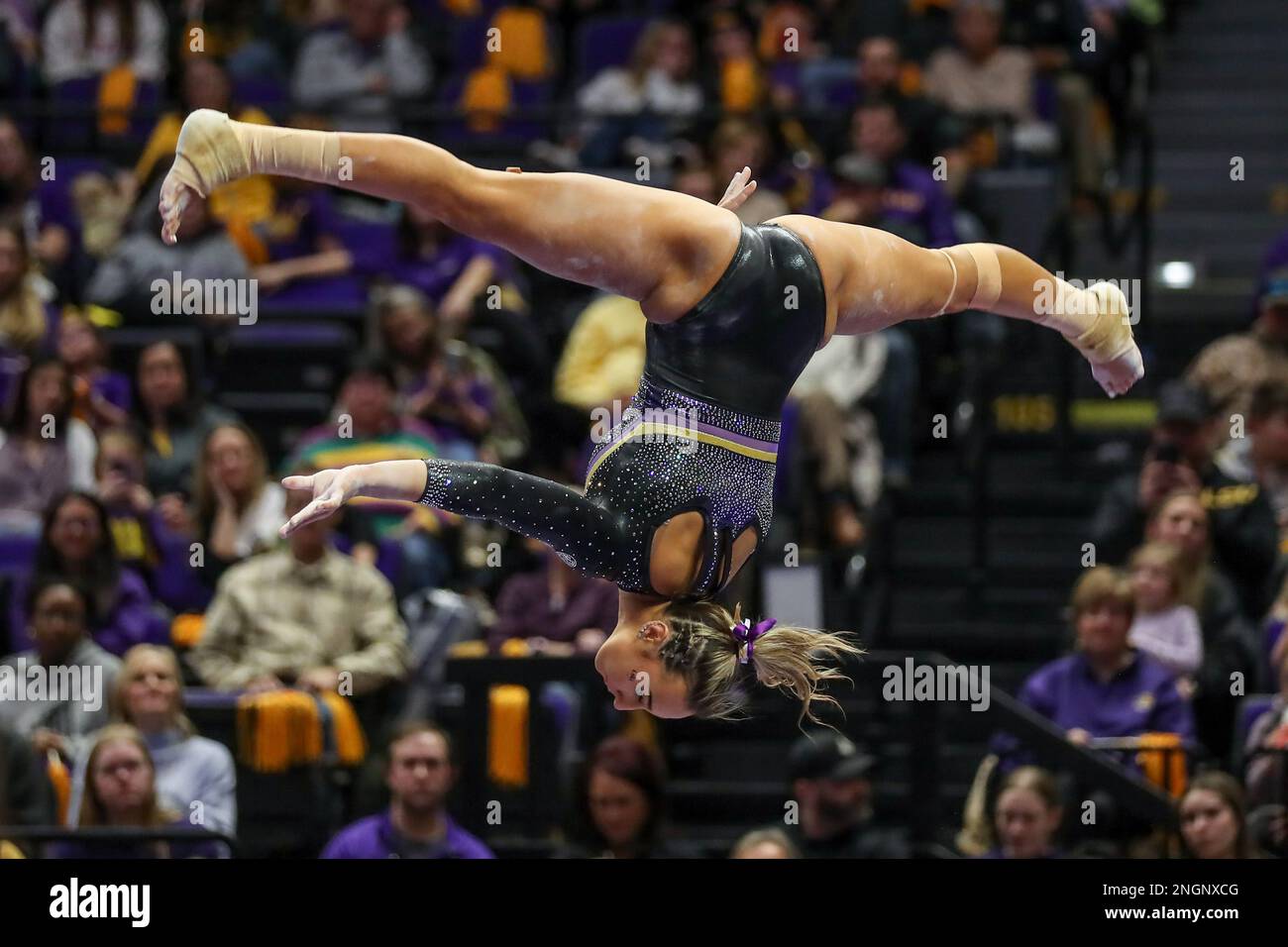 Alyona shchennikova hi-res stock photography and images - Alamy