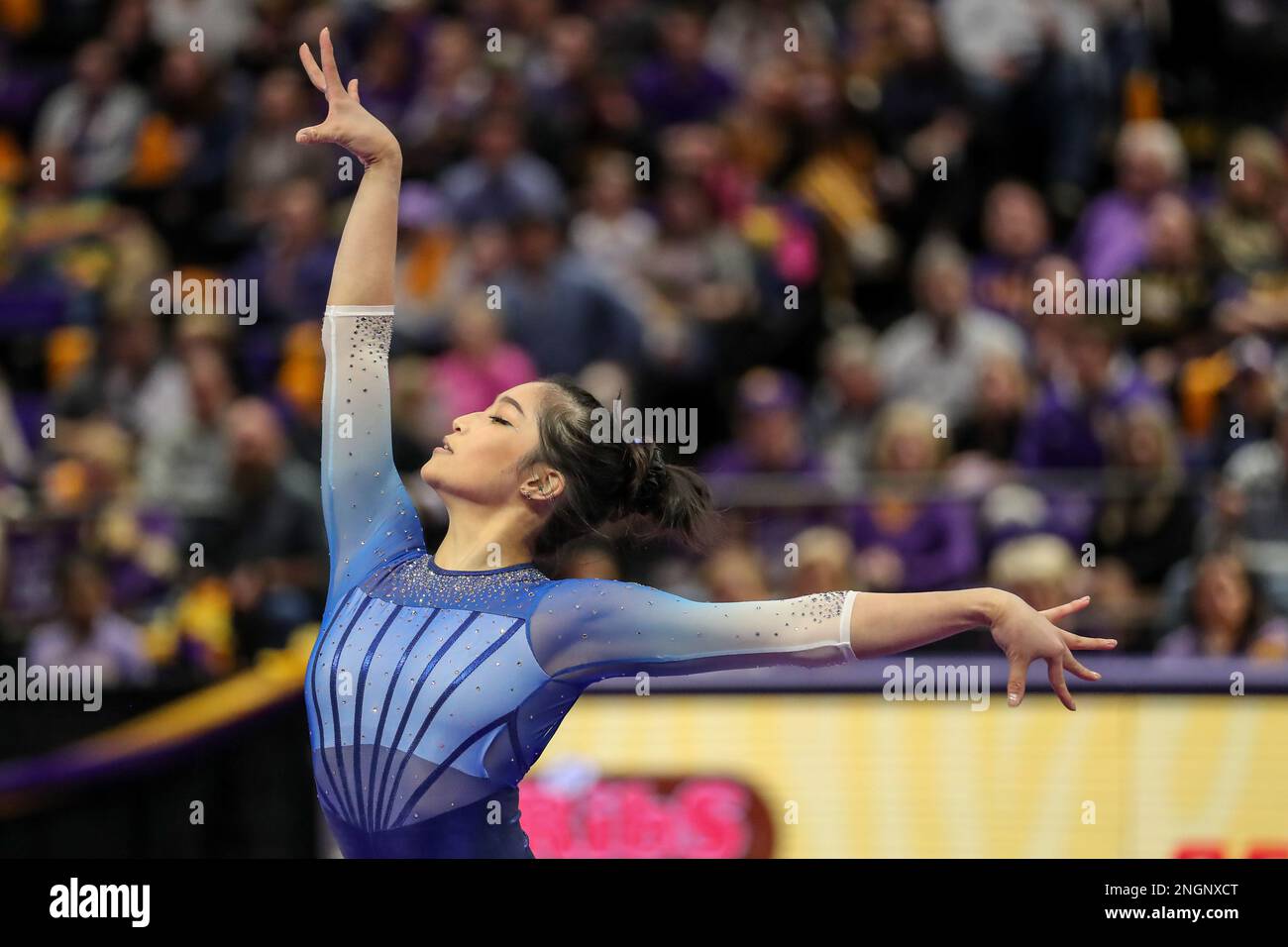 Gymnastics florida gators victoria nguyen hi-res stock photography and ...