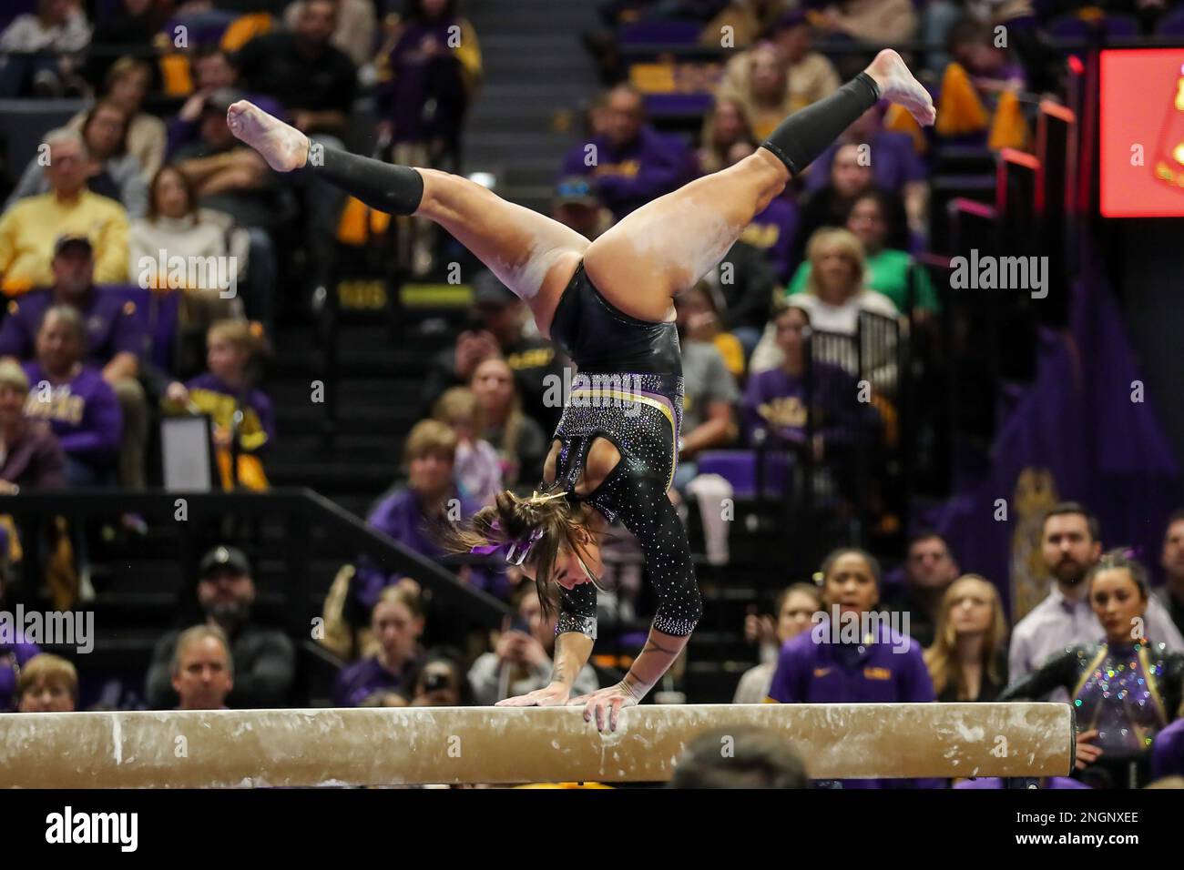 Baton Rouge, LA, USA. 17th Feb, 2023. LSU's KJ Johnson competes on the ...