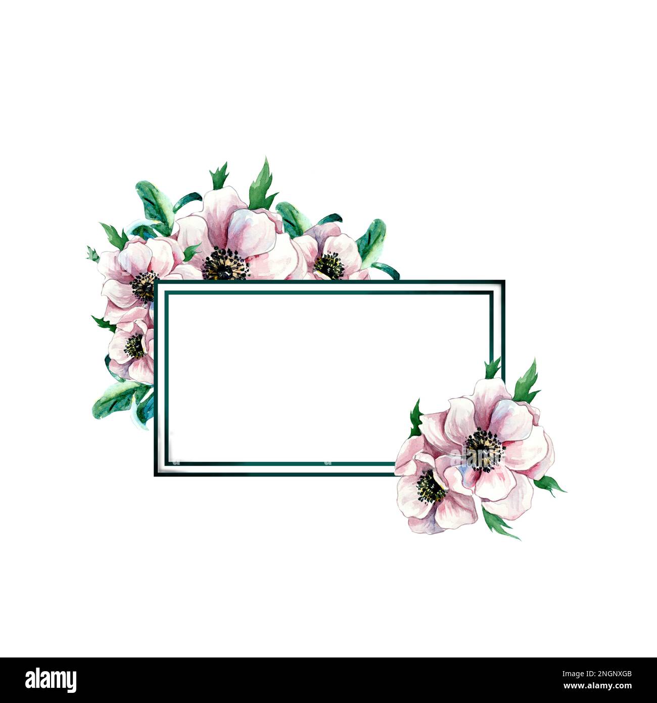 watercolor drawing of pink hyacinth flowers. Frame for design Stock ...
