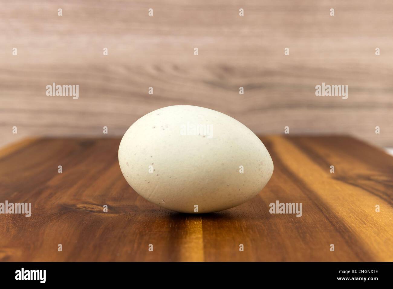 Farm fresh green egg on a counter in the kitchen. Wood background Stock ...