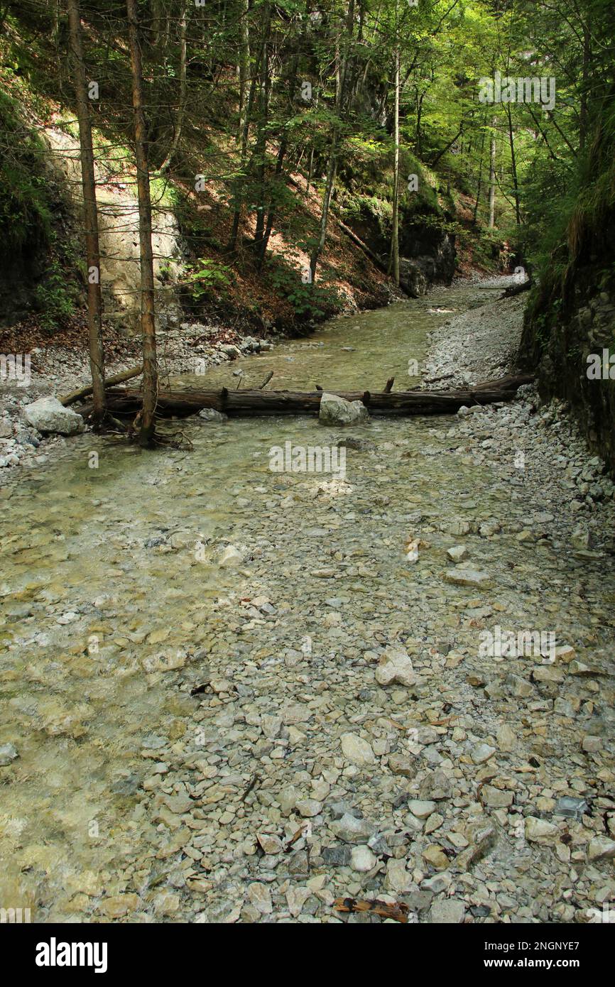 Slowly flowing clear water river hi-res stock photography and images ...