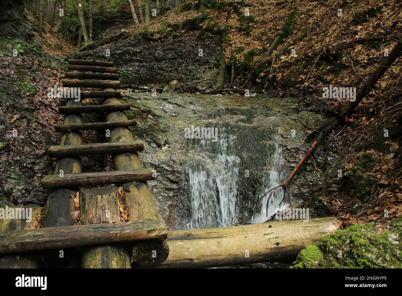 Dangerous trail through a waterfall with wooden ladders in the Slovak ...