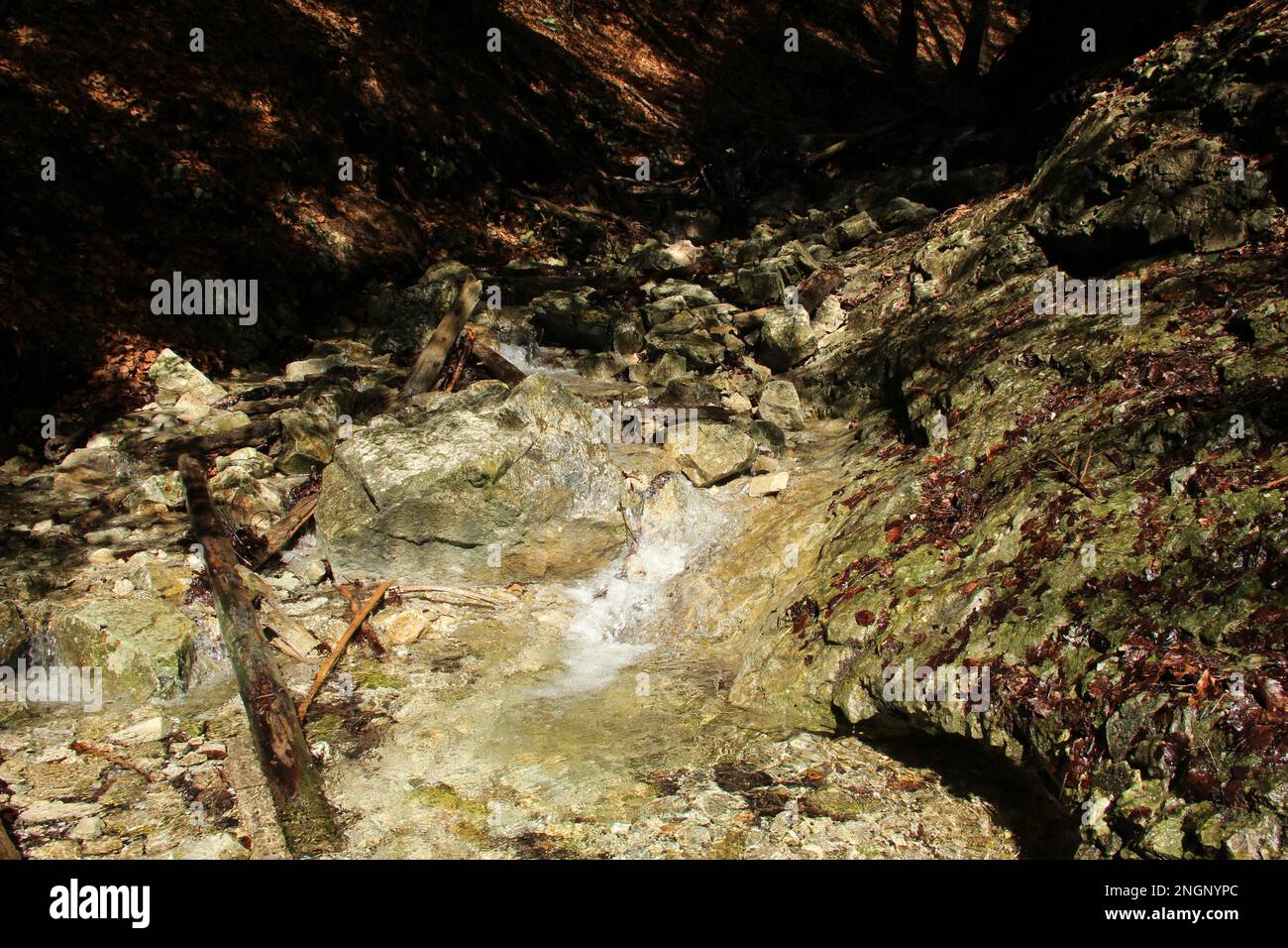 A wet trail running through streams in the Slovak Paradise National ...