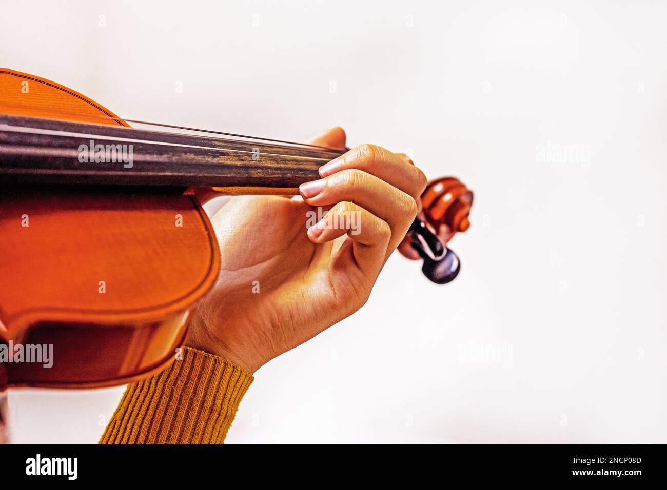 left hand of a young violinist on the strings on a student's violin on ...