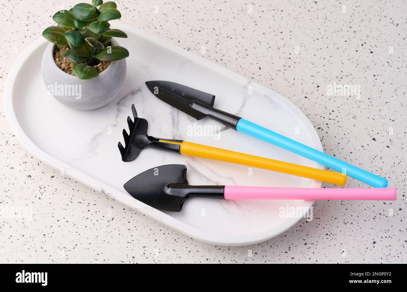 Miniature garden tools for transplanting plants, home hobby, top view ...