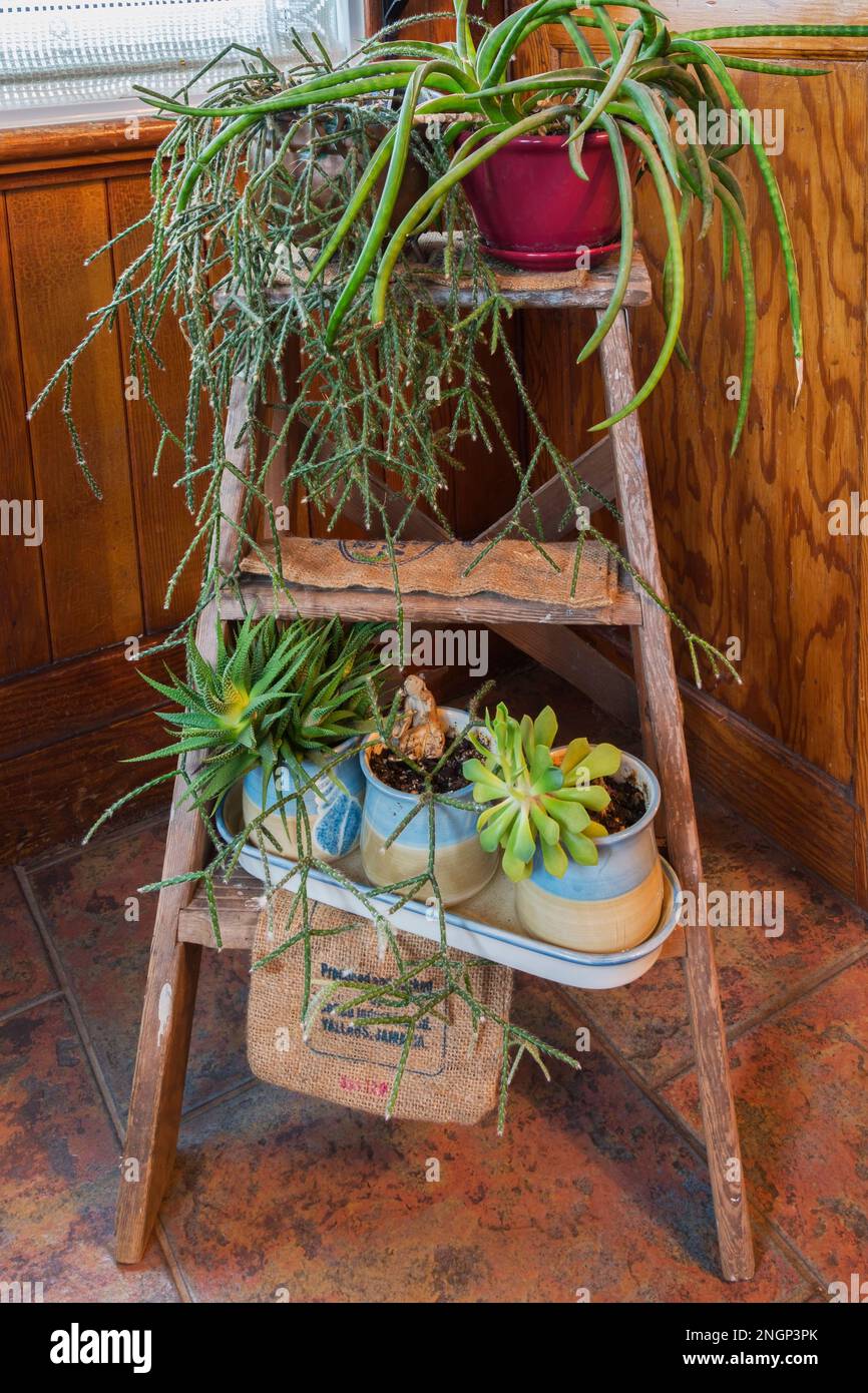 1920s kitchen furniture hi-res stock photography and images - Alamy