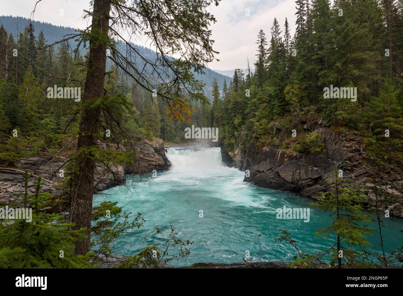 Beautiful mountains river in summer season, Canada Stock Photo - Alamy