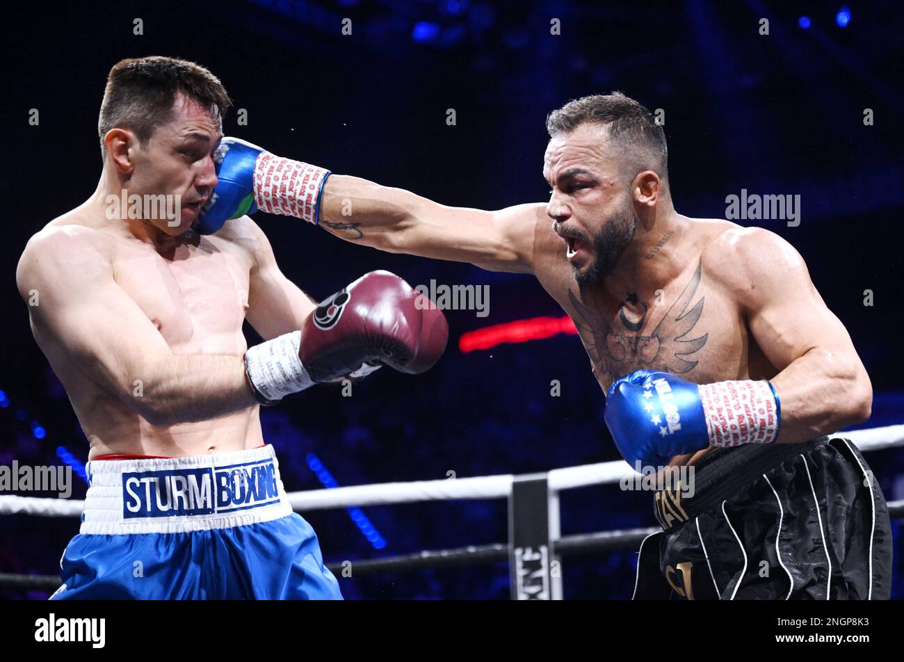 Light Heavyweight Boxing Division Boxing Needs 12 Weight Classes And A