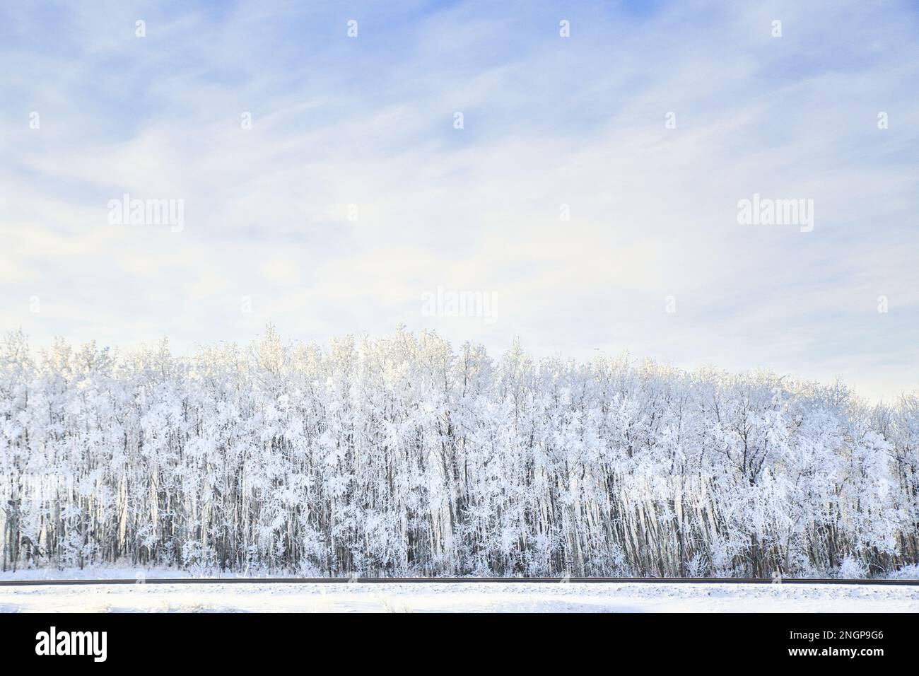 Wispy wood hi-res stock photography and images - Alamy