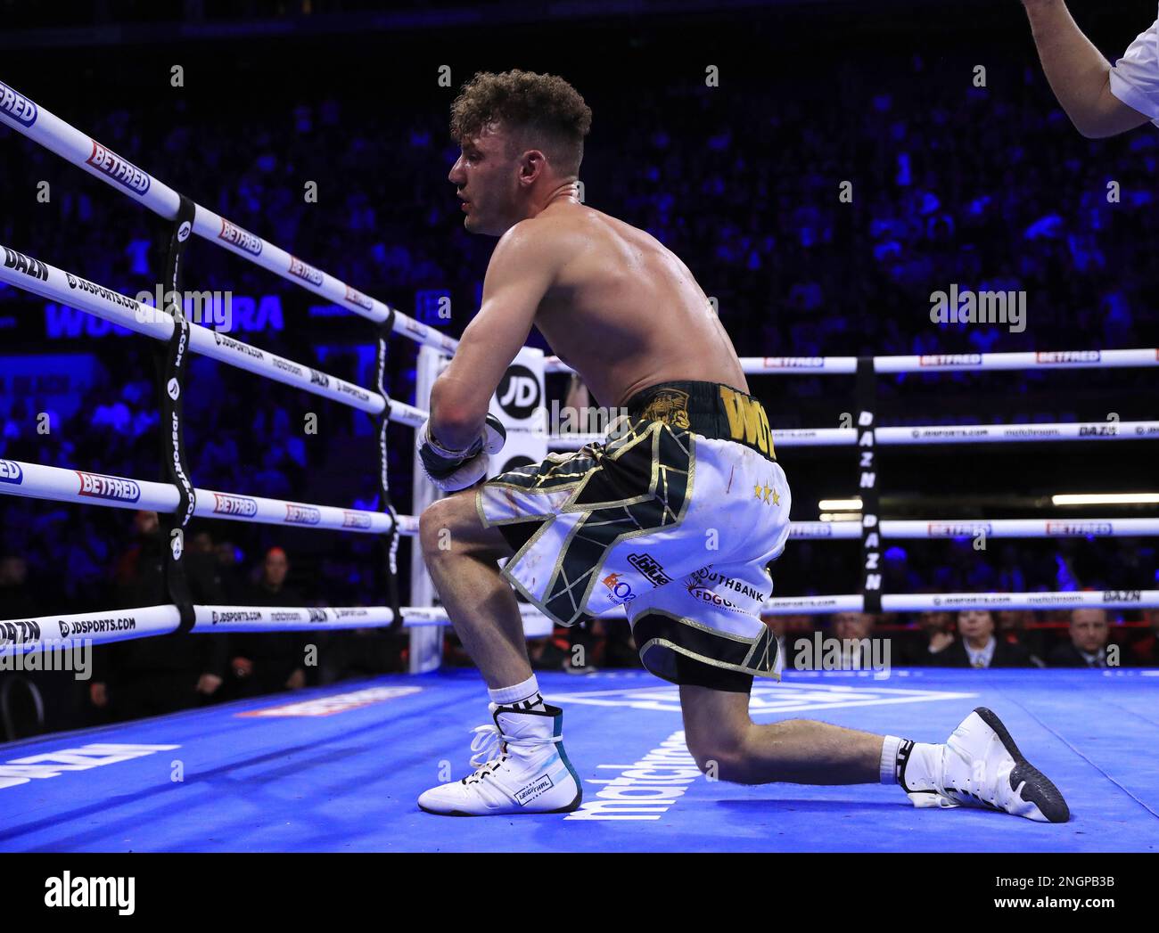 Leigh wood lara hi-res stock photography and images - Alamy