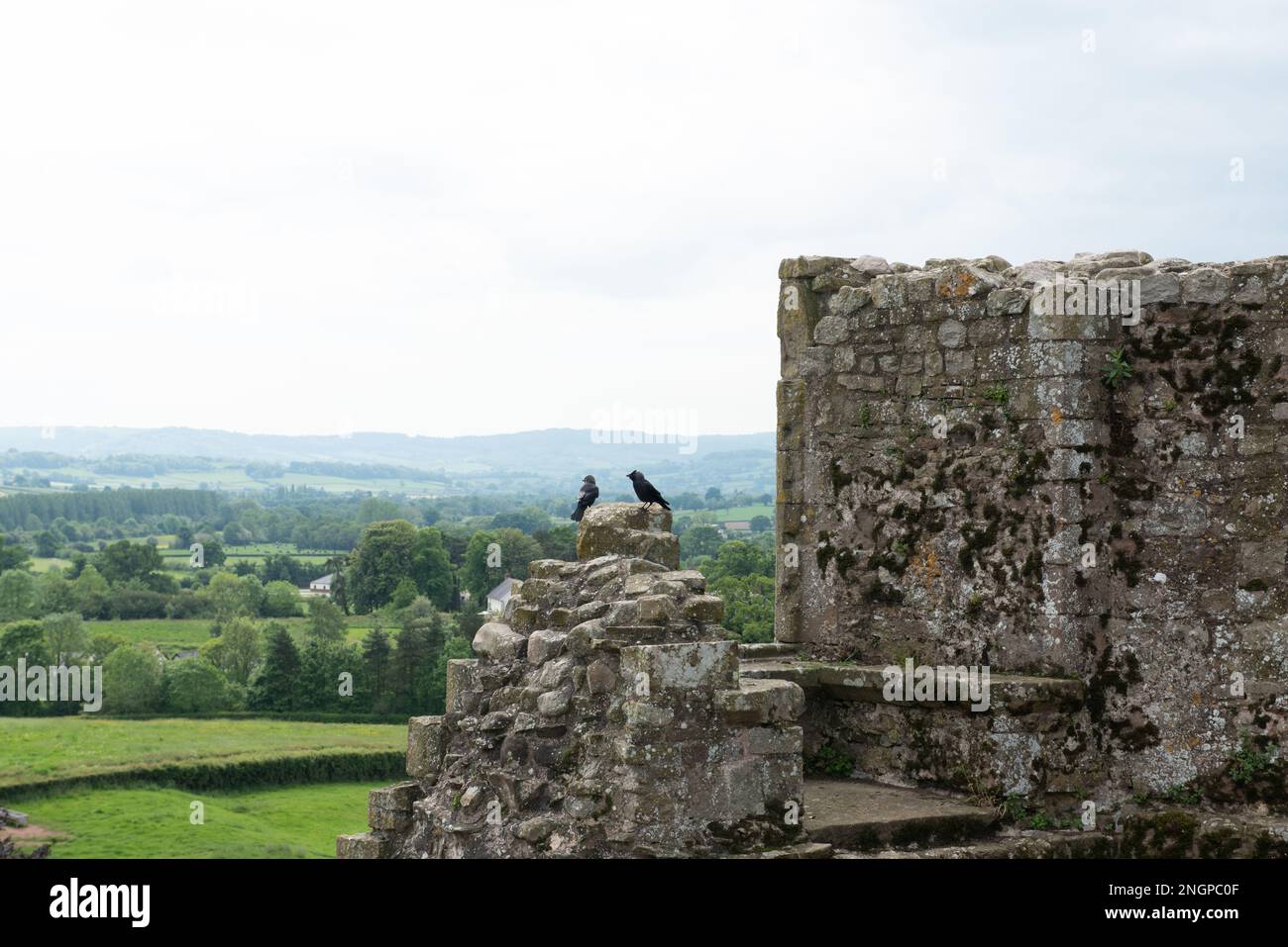 Castell rhaglan is a late medieval castle located just hi-res stock ...