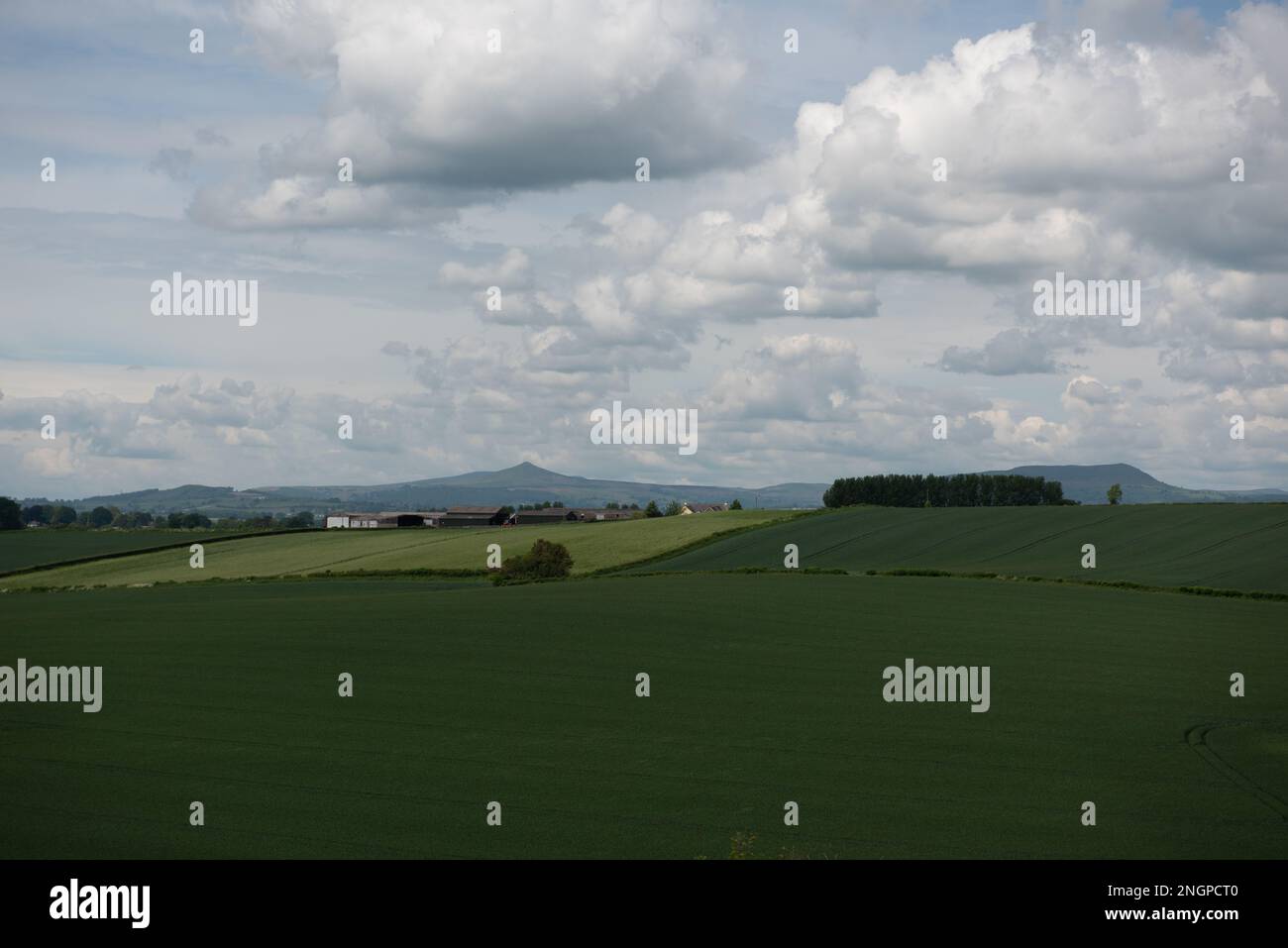 Welsh nature hi-res stock photography and images - Alamy