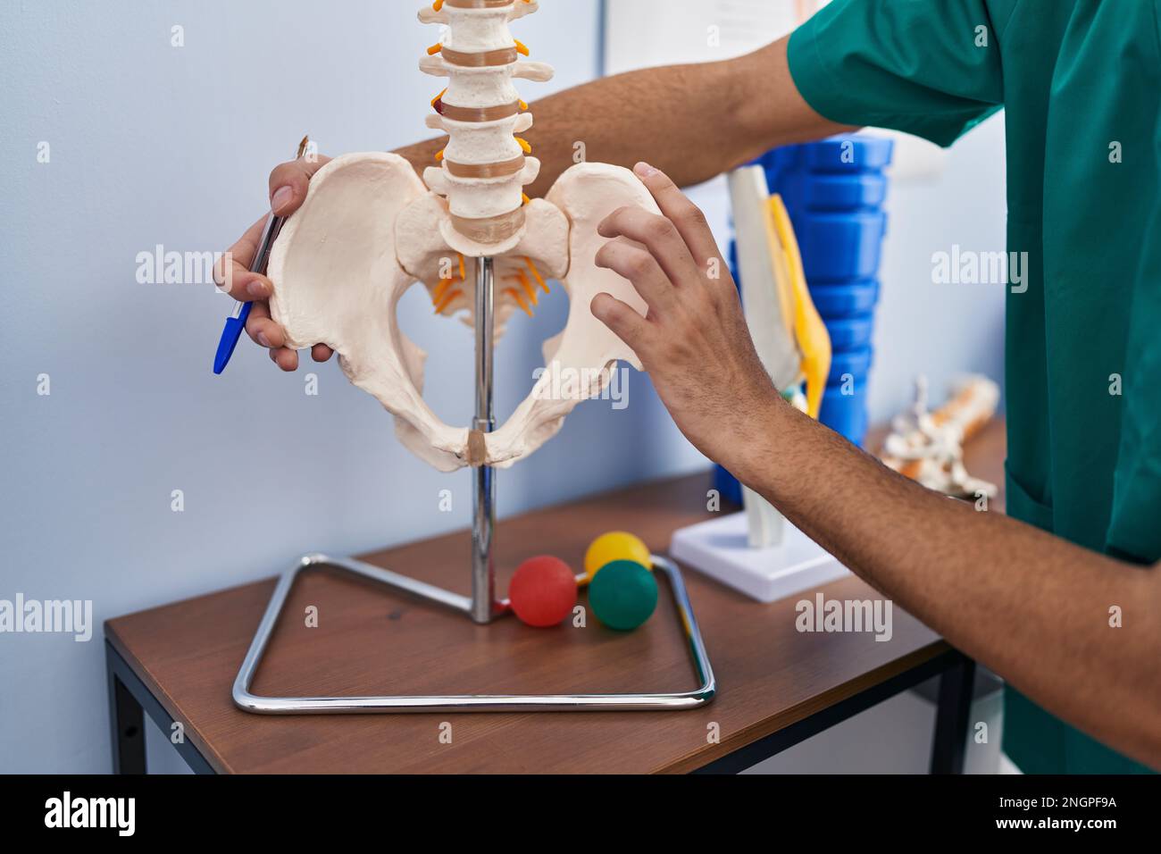 Young caucasian man physiotherapist touching anatomical model of spinal ...